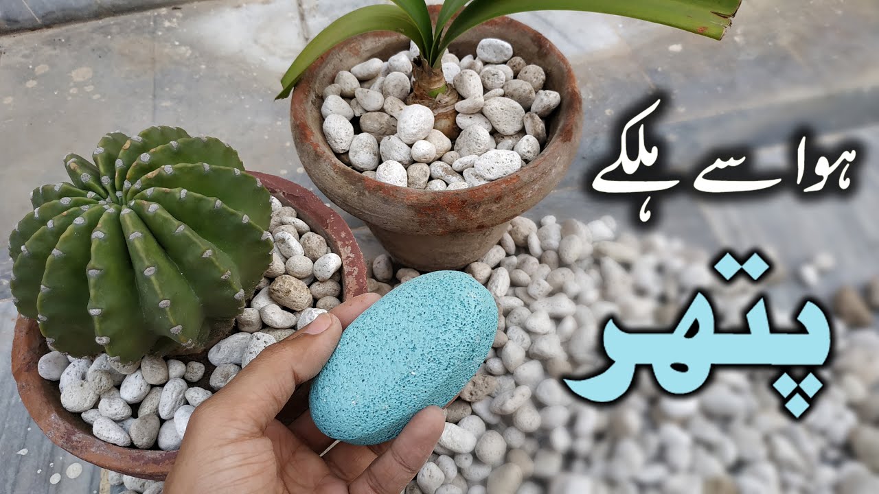 Pumice Stones | How to use Pumice Stones in Garden | Water Storing ...