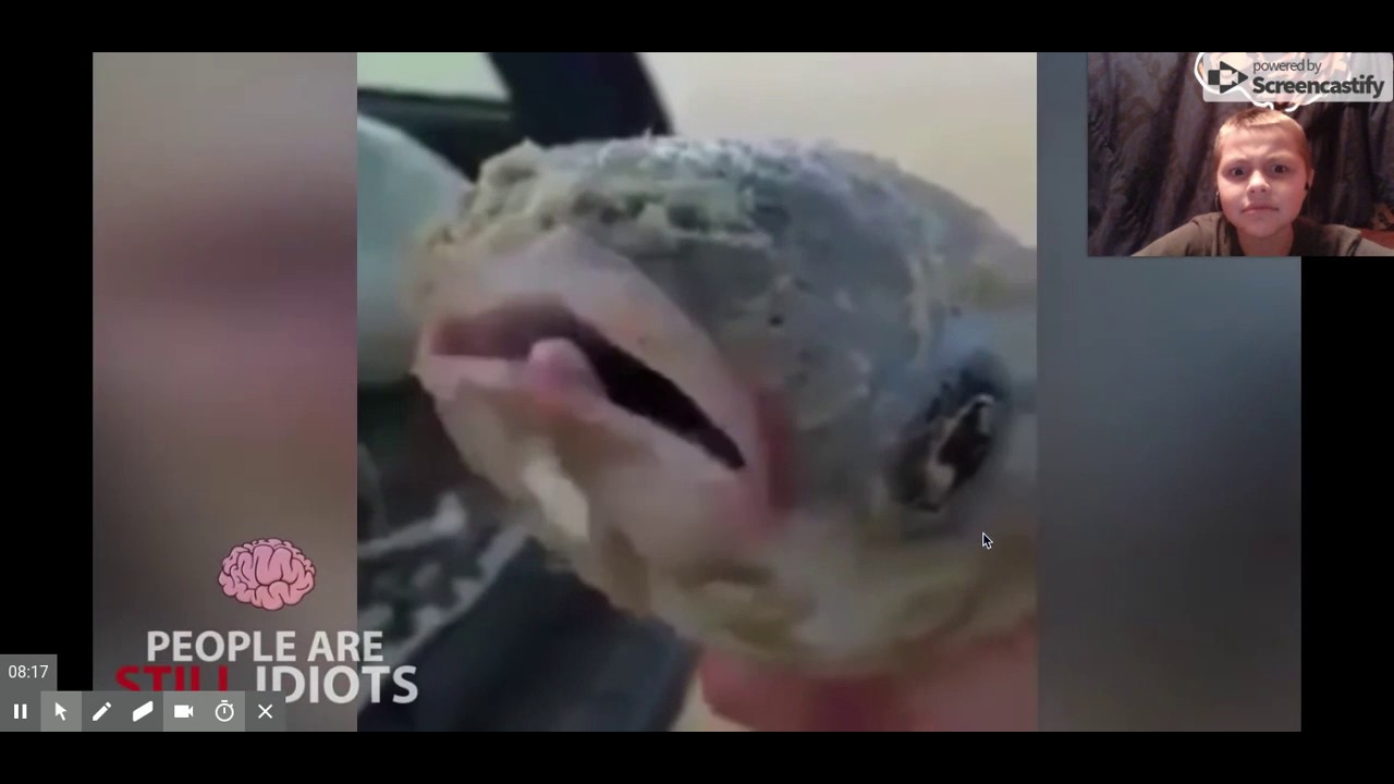 Monkey reaction - YouTube