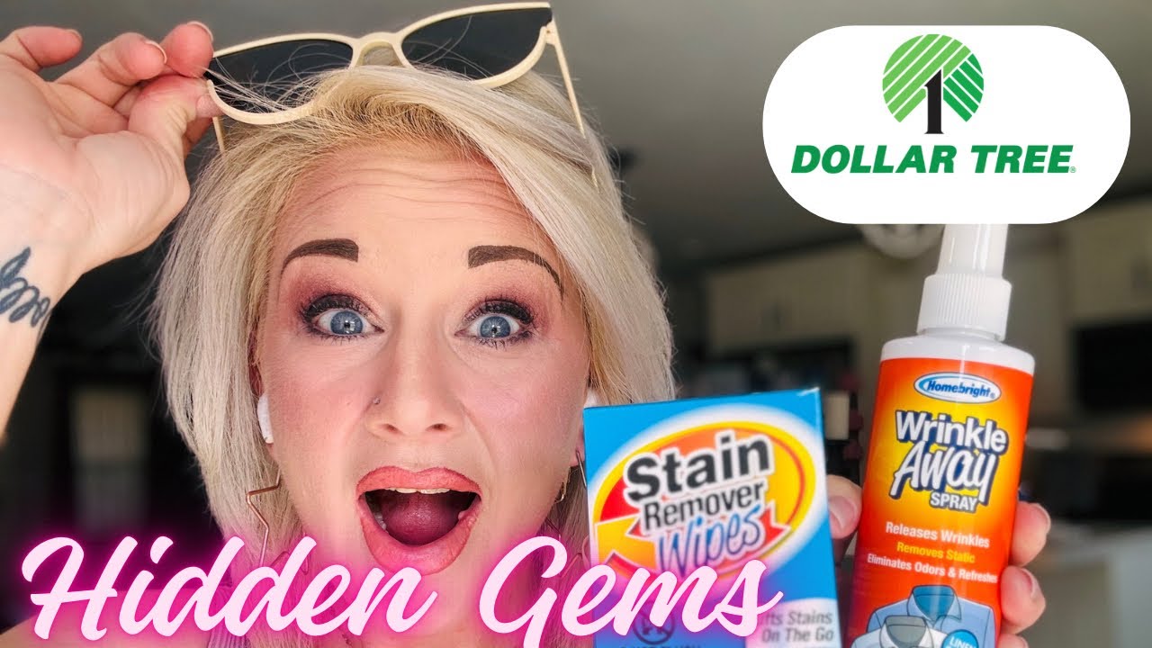 Unveiling Dollar Tree’s Best-Kept secrets: Discover Hidden Gems on a ...