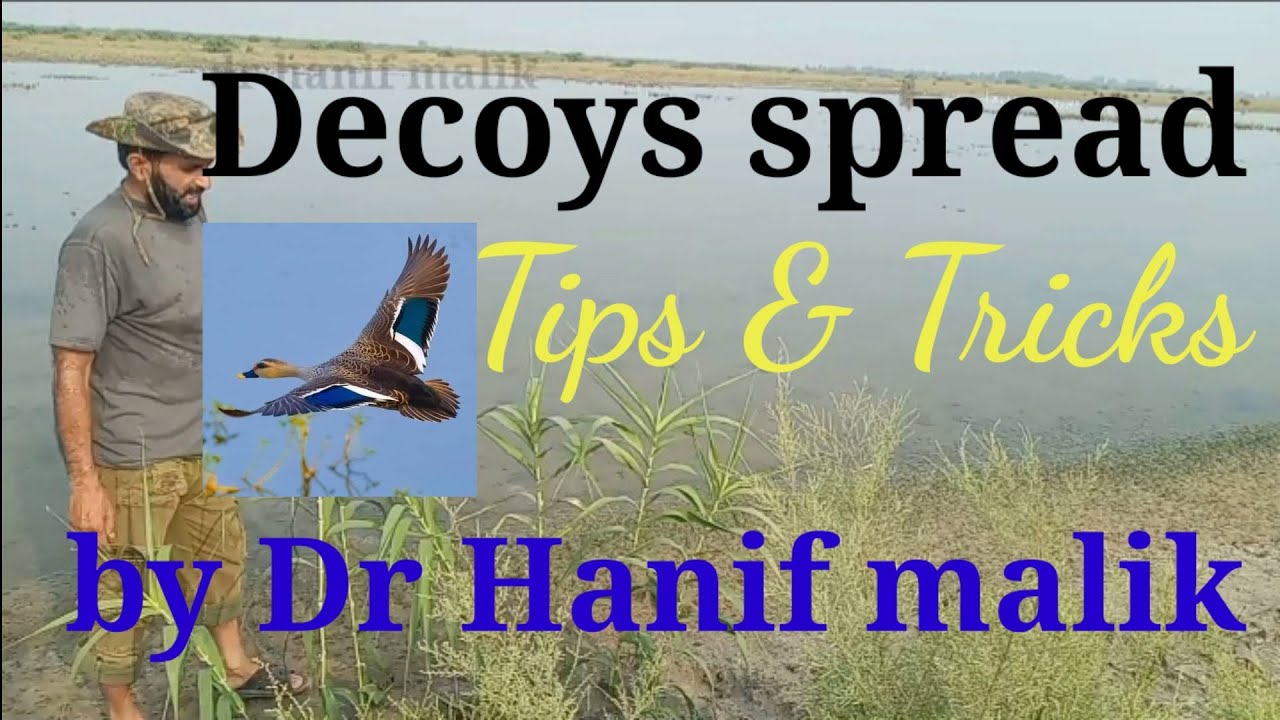 How to place your decoys||Decoys tactics||decoys spread - YouTube
