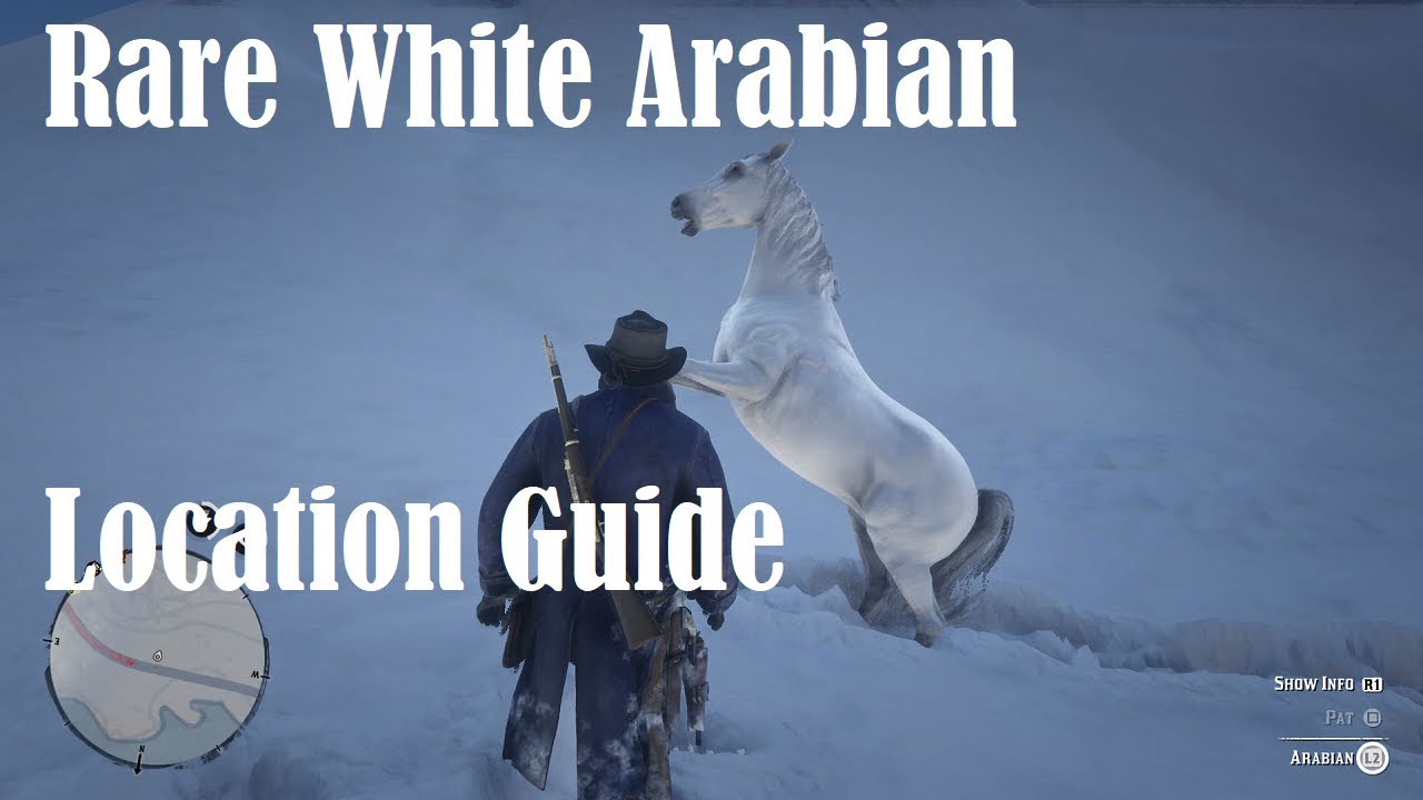 White Arabian Horse : How To Find a Free Rare Horse In Red Dead ...