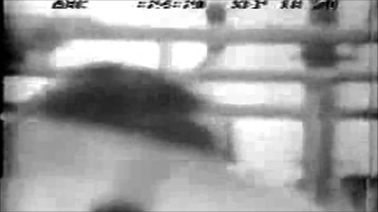 JIMI HENDRIX DEATH ANNOUNCEMENT - YouTube