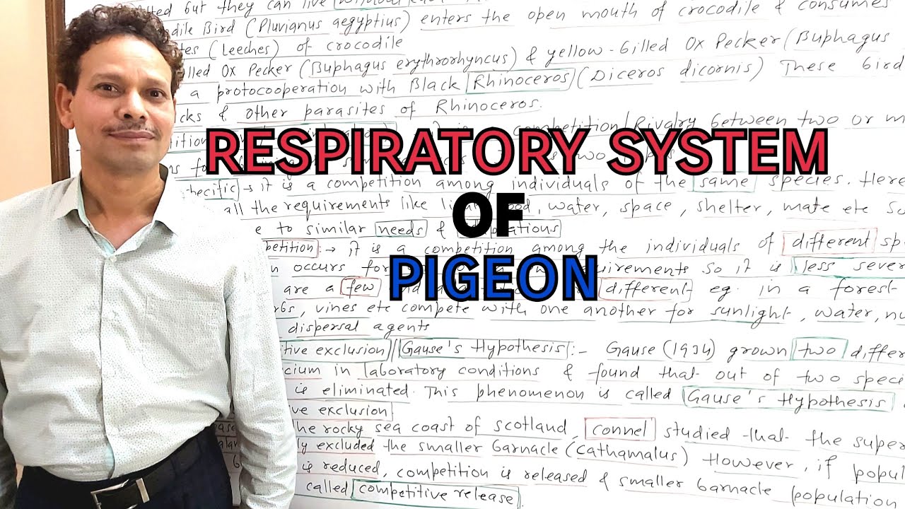 Respiratory System of Pigeon(Columba Livia) | For IAS,NEET,GATE,NET and ...