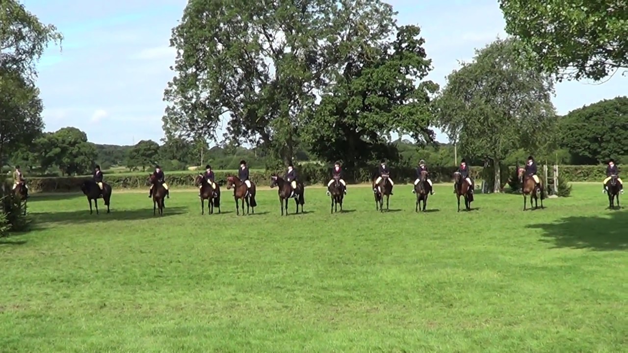 The Brereton Small Hack Class At The Royal International Horse Show ...