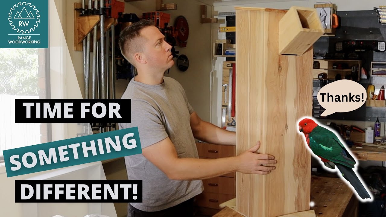 Building A Parrot Nesting Box Something A Bit Unusual YouTube Building A Parrot Nesting Box Something A Bit Unusual YouTube