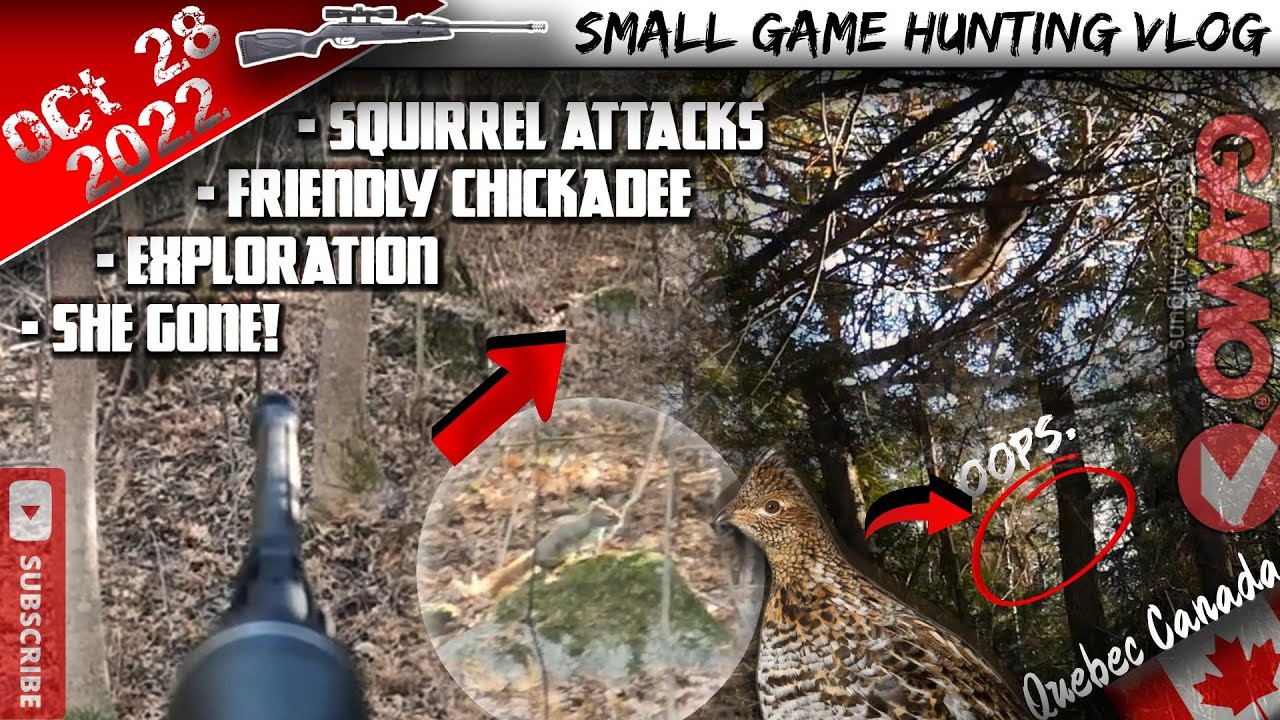 Small game hunting on private land //Squirrels, cool bird and a ...