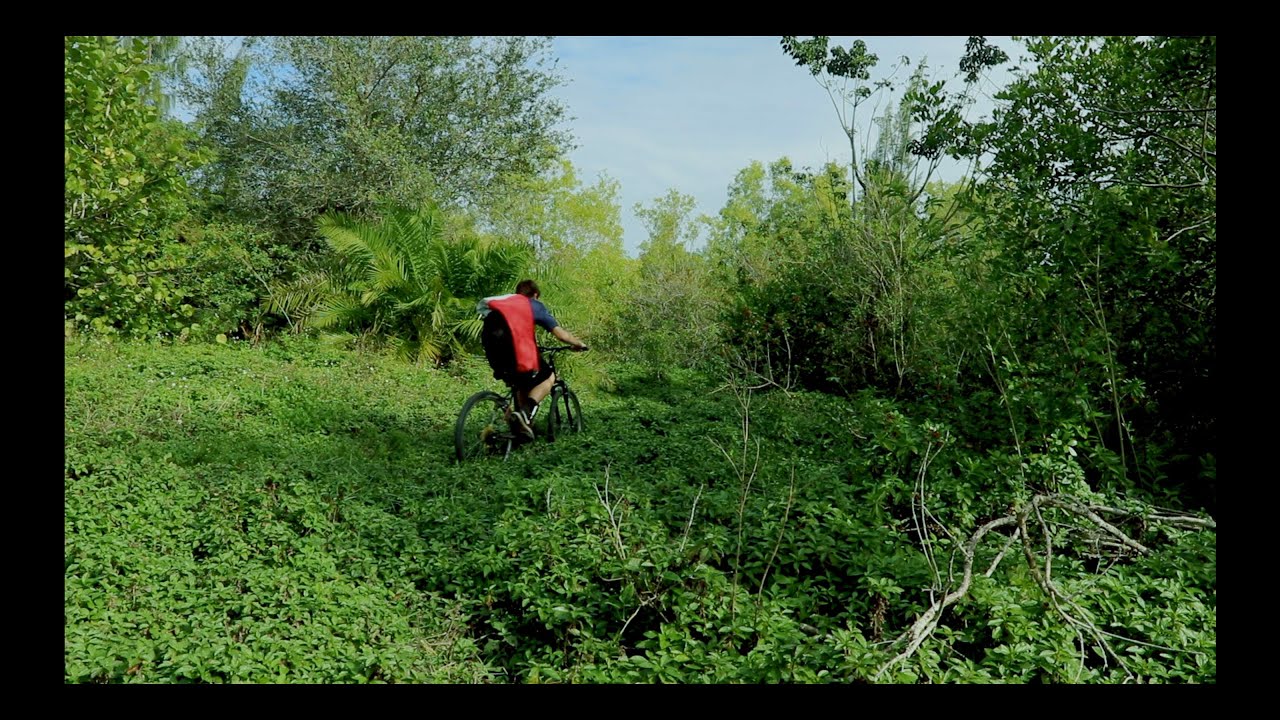 Biking Hidden Swamp Trails - YouTube