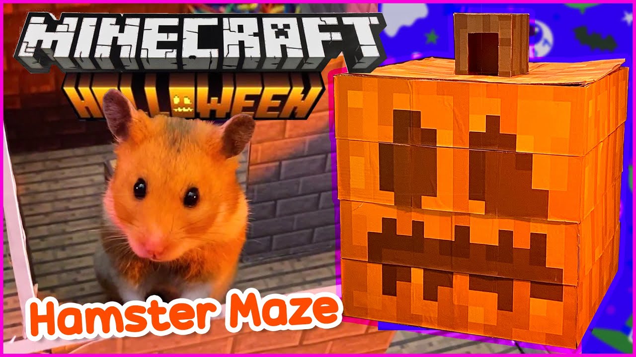 Hamster Minecraft Pumpkin Maze | Halloween Special | Ham Ham Adventure ...