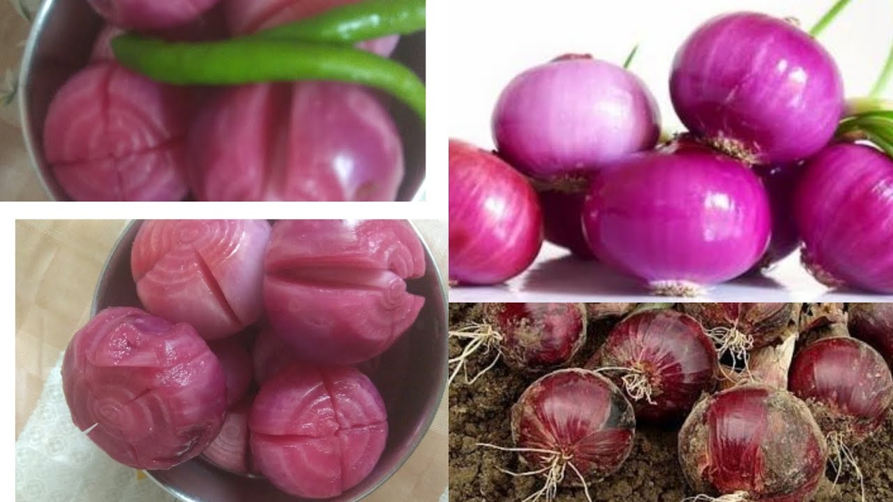 Sirka pyaz recipe, रेस्टोरेन्ट से भी ज्यादा टेस्टी सिरके वाले खटे प्याज ...