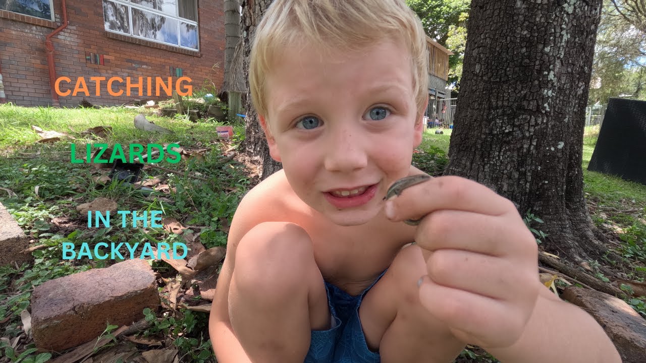 Catching LIZARDS in the backyard - YouTube