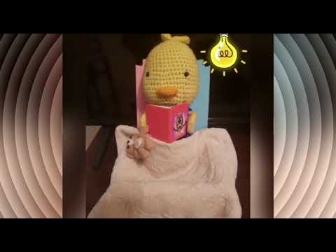 N. MEDIO MENOR I: POLLITO LALO LEYENDO ROCO - YouTube