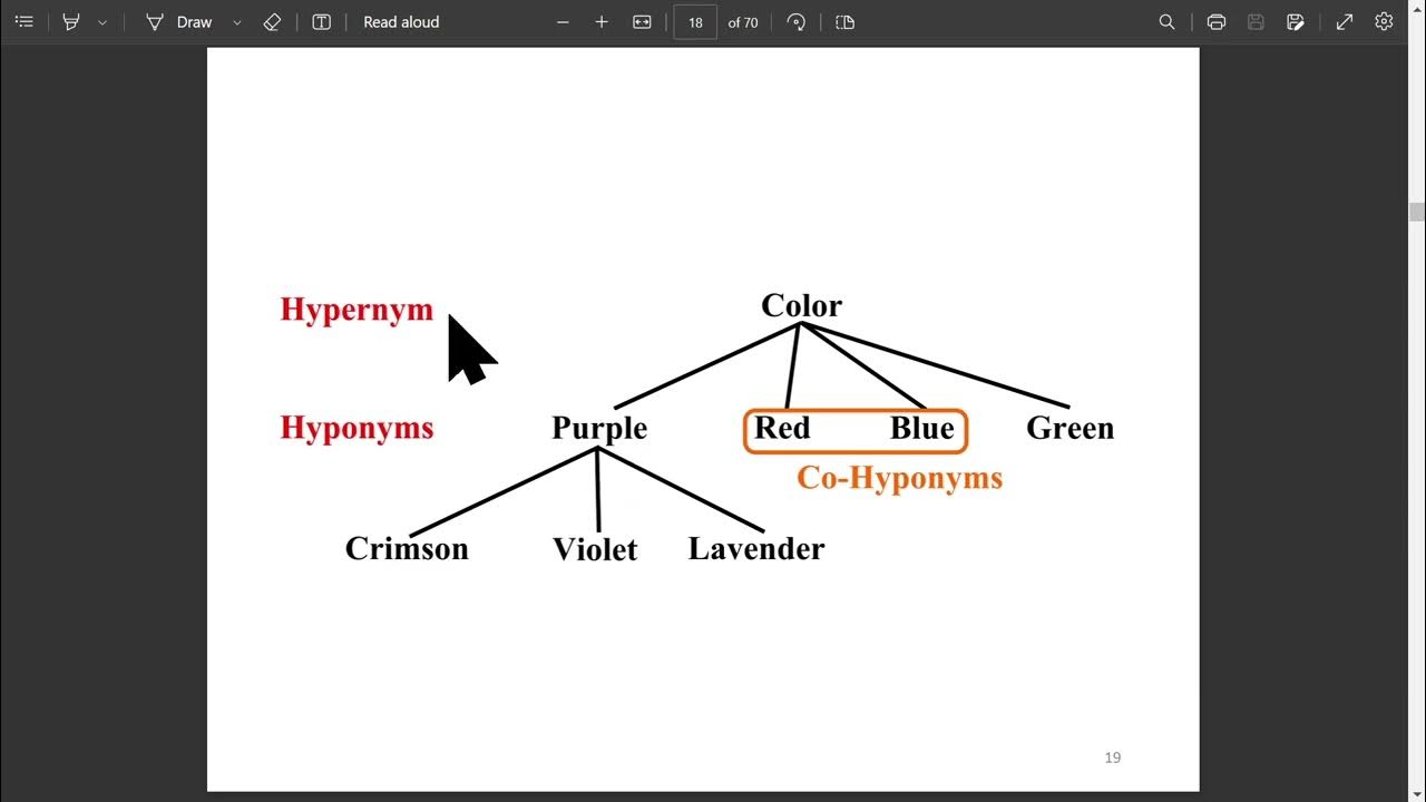 Lecture 4 Youtube