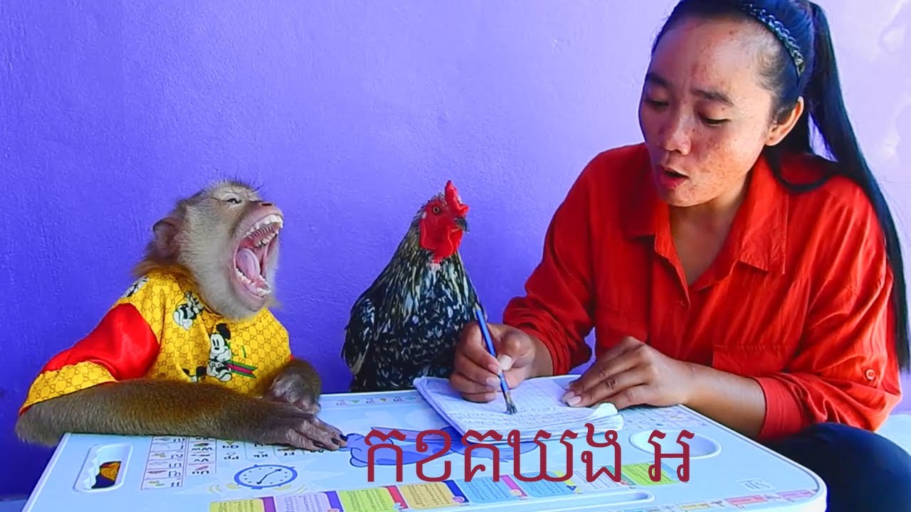 Best Learning Khmer At Home, SokYaa Study Until Sleepy - YouTube