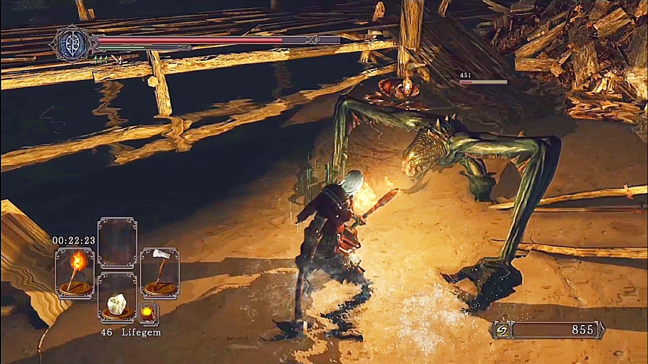 Repair powder is very important in Dark Souls 2 Scholar of the First ...