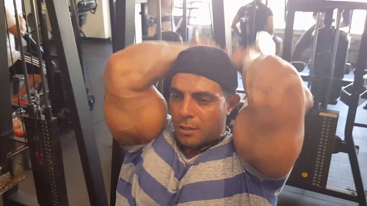 Tamer Elshahat triceps - YouTube