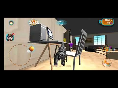 Cat Simulator 2015 | Gameplay #017 - YouTube