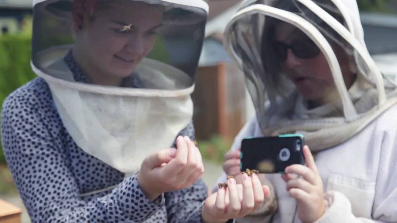Beginning Beekeeping for Teens - YouTube