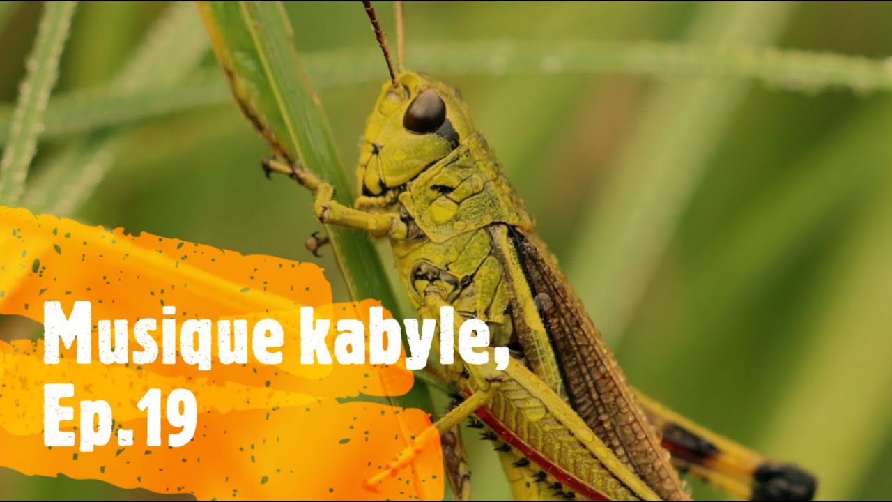 Musique kabyle, un florilège inspirant. Ep.19 - YouTube