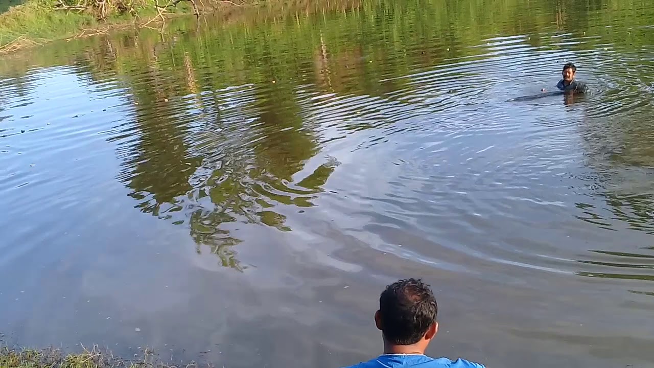 Inilah orang menangkap ikan di empang takalar bontonompo - YouTube