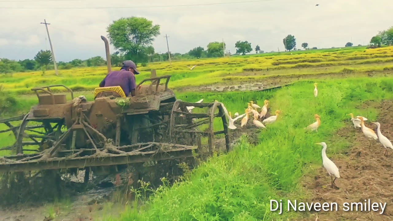 Indian Formar - YouTube
