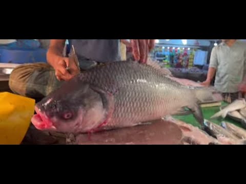 Raho Fry Fish Recipe Street Food | Fried Fish Recipe | Restaurant Style ...