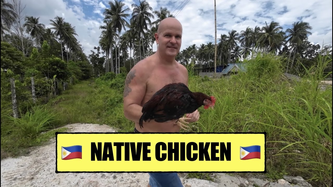 From Our Farm To Our Table | Philippine Native Chicken - YouTube