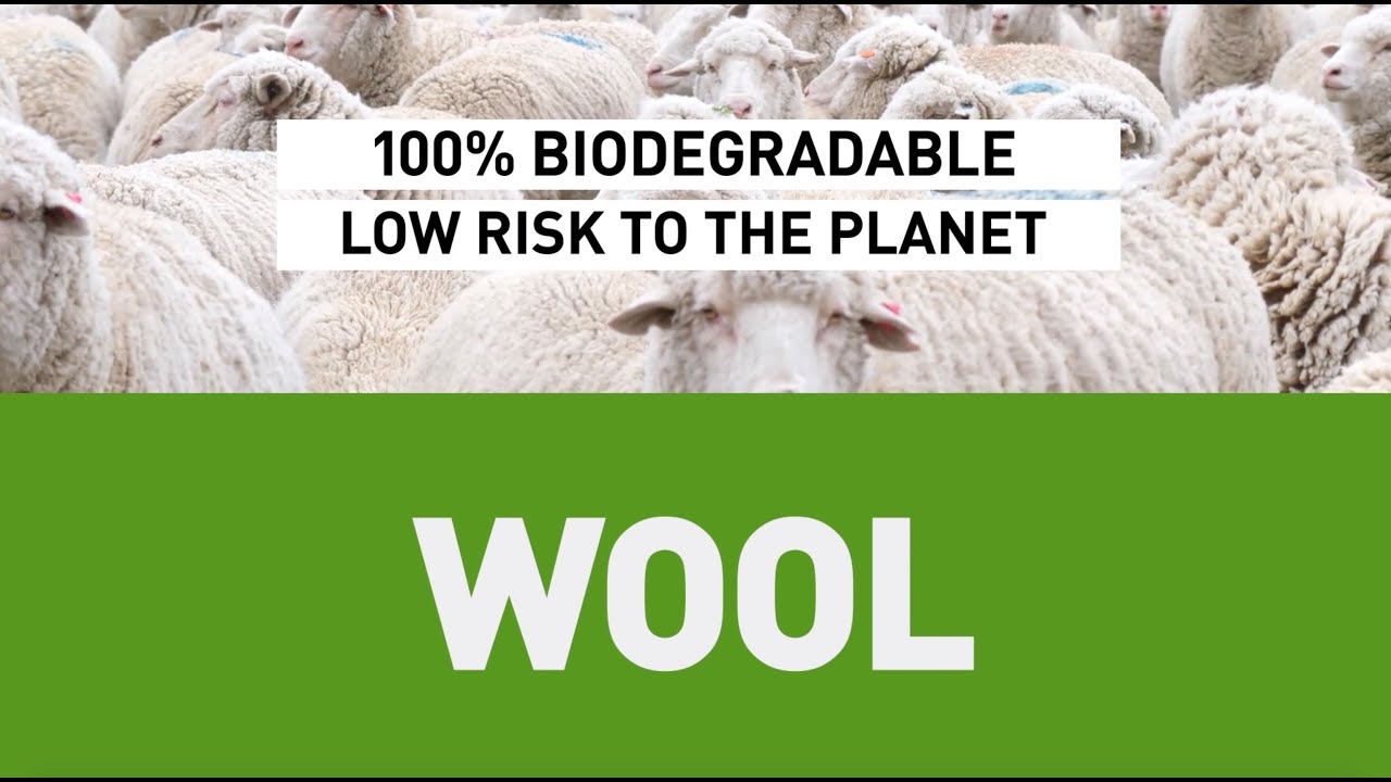 Synthetic Vs Wool - What's the Difference? - YouTube