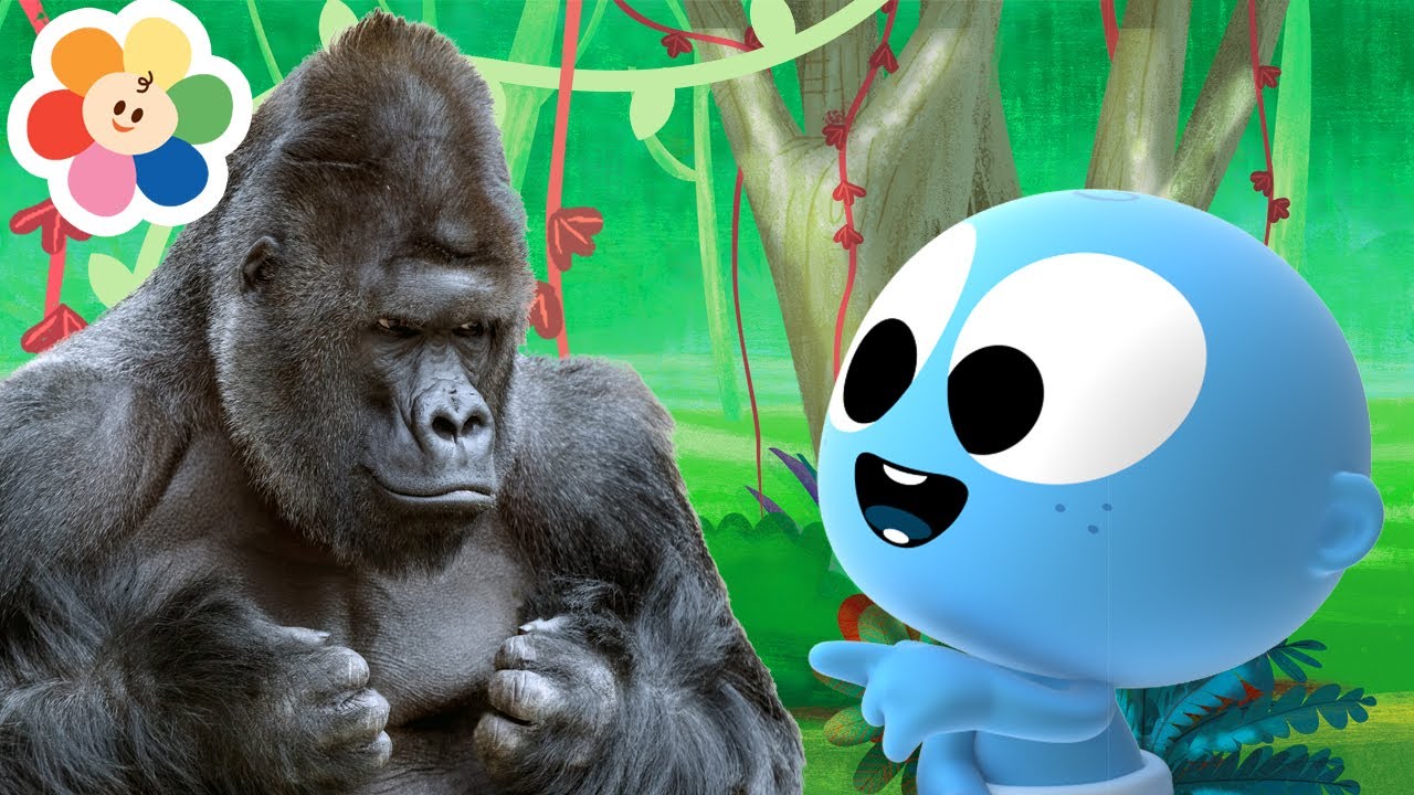 Learn Colors With Fun Animals Like Gorilla & Bear| Fun Learning Video ...