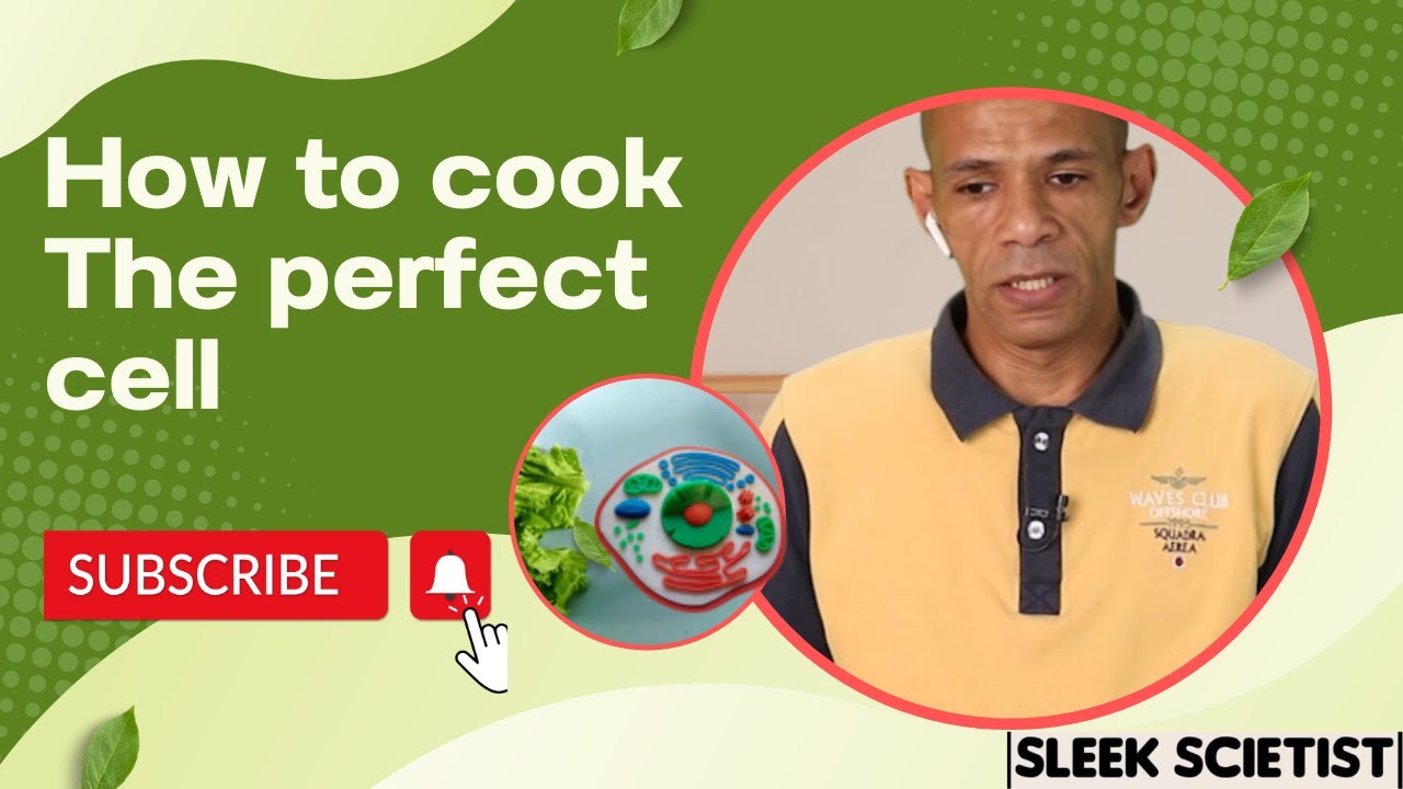 How to cook the perfect Cell - YouTube