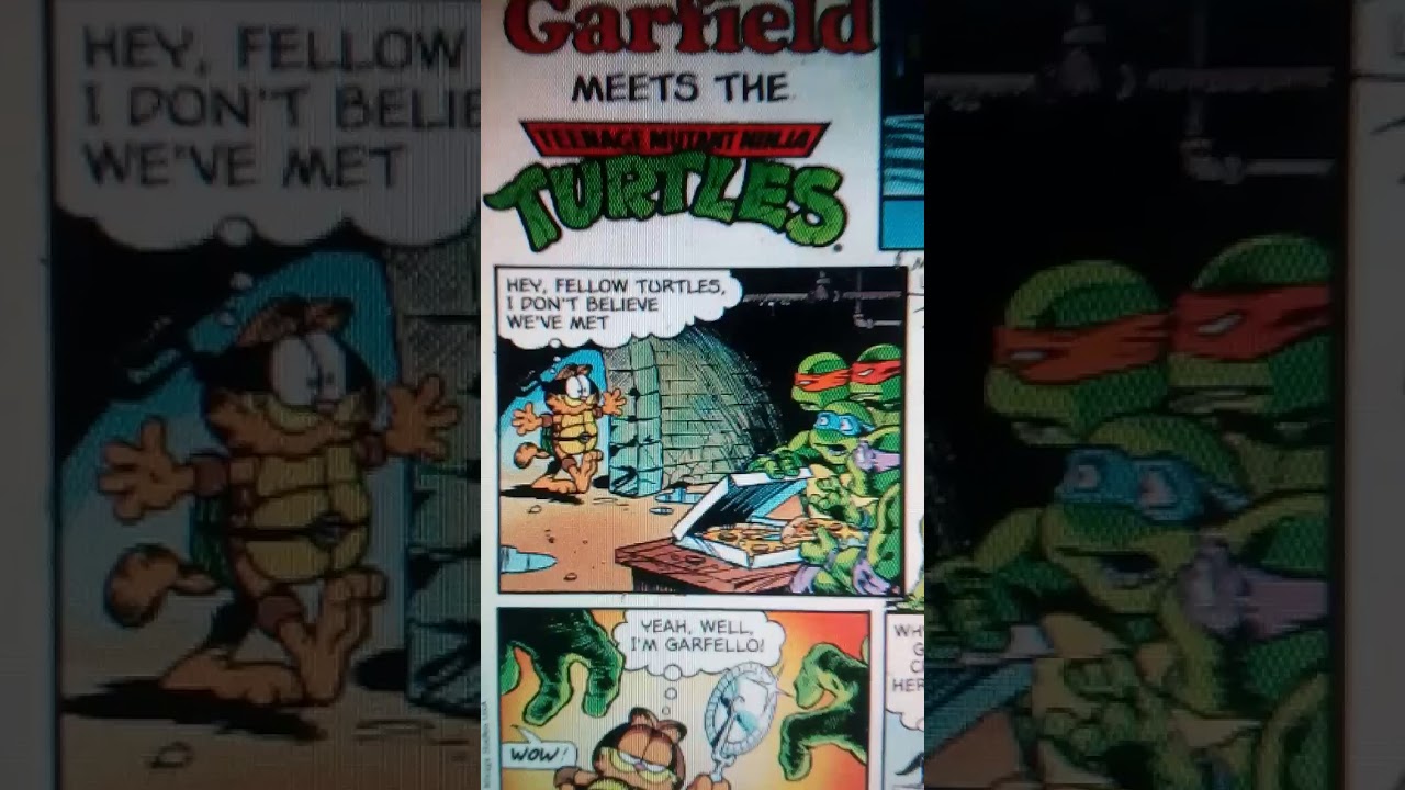 Garfield Meets The Teenage Mutant Ninja Turtles - YouTube
