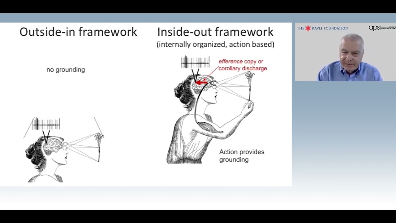 The Brain From Inside-Out: Emergence of Cognition from Action | György ...