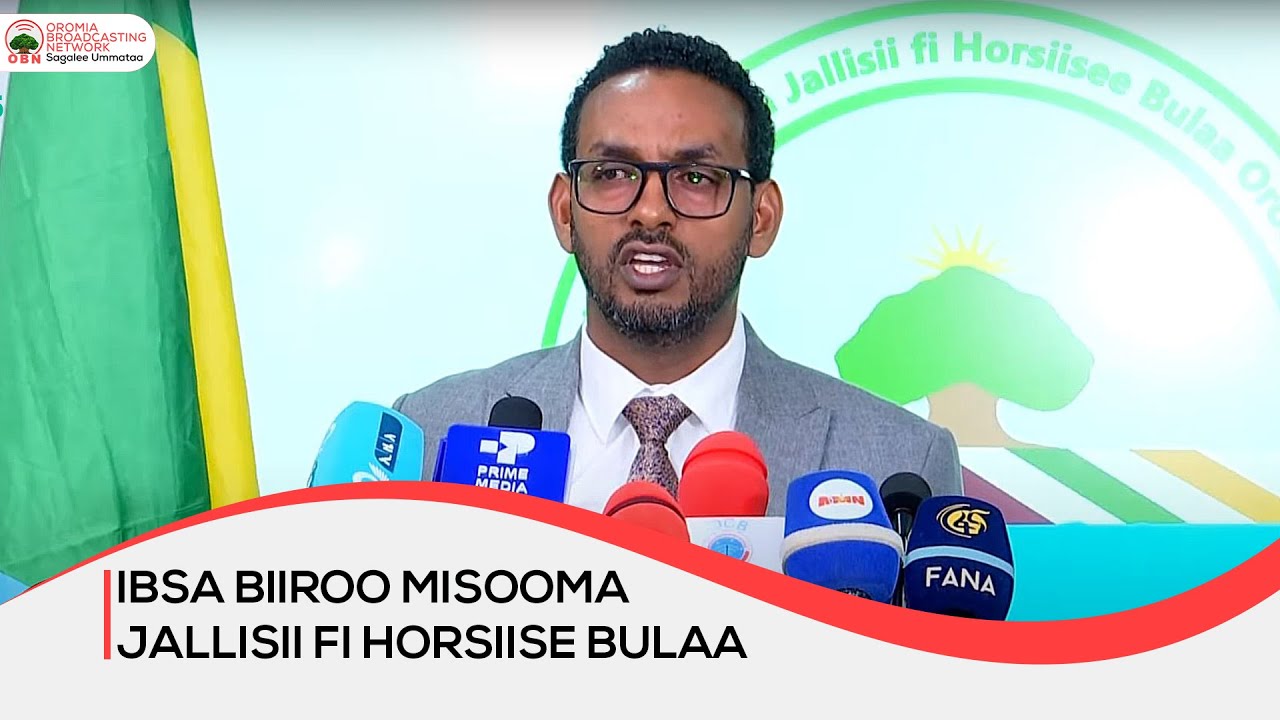 Ibsa Biiroo Misooma Jallisii fi Horsiise Bulaa - YouTube