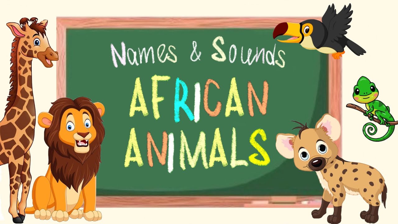 African Animal Names and Sounds | Learn Animals in English - YouTube