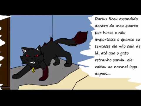 ASK LUA & DARIUS(cat) #1 - YouTube