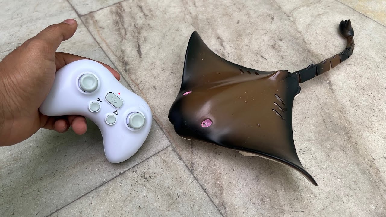 RC Manta Ray Fish Unboxing & Testing | 2.4G Wireless Remote Control ...
