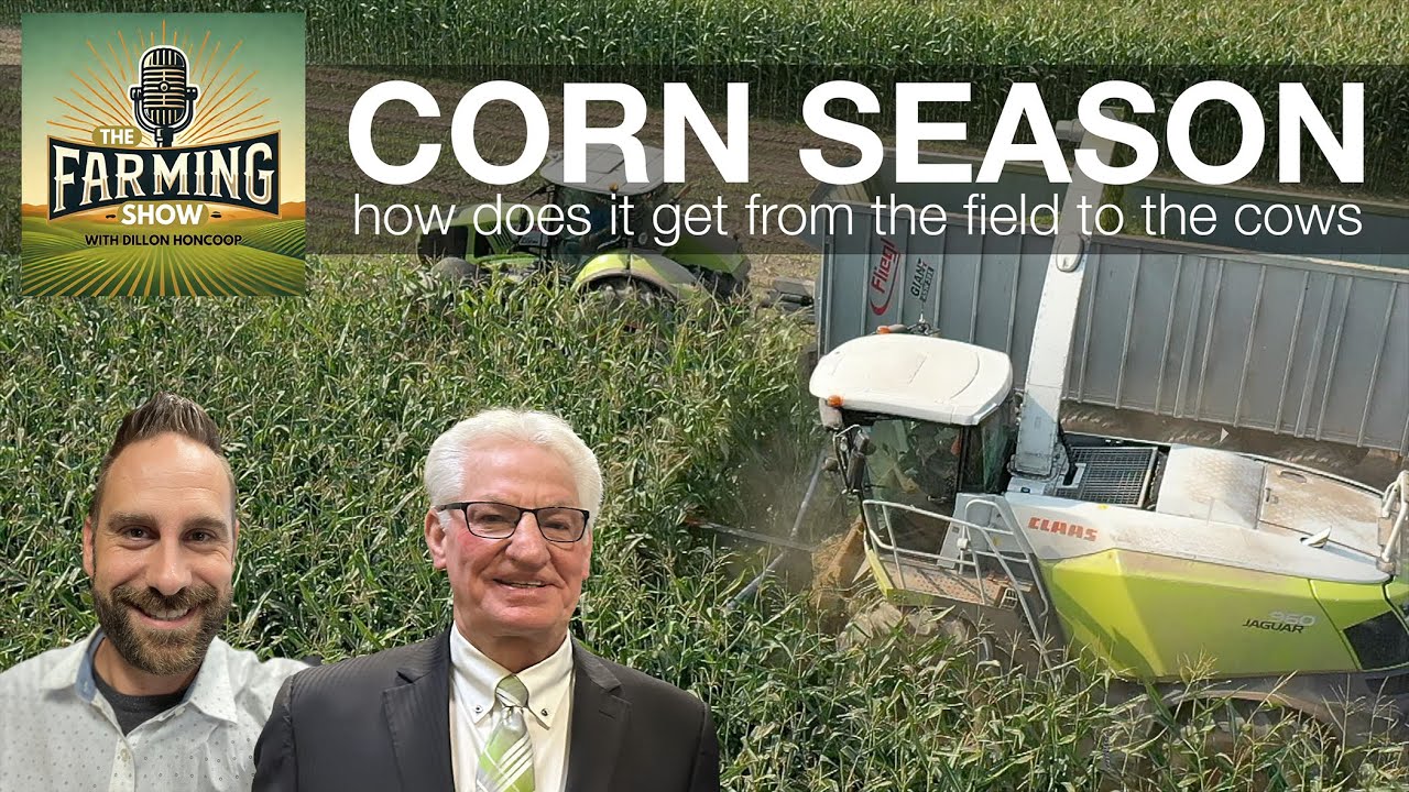 SO WHAT DOES IT TAKE TO GET THE CORN HARVEST DONE | Save Family Farming ...