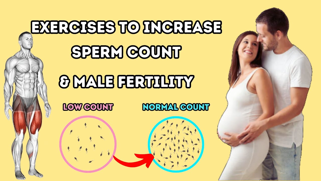 Increase Sperm Count And Male Fertility Exercises To Improve Male