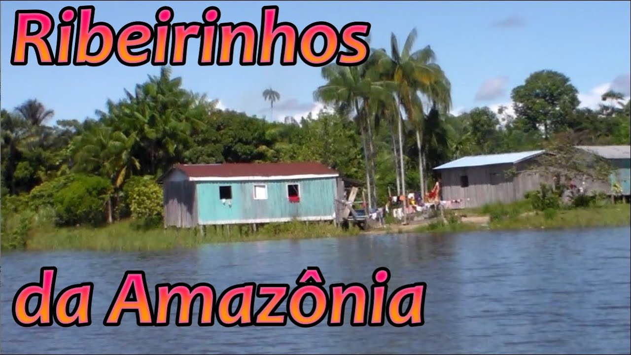 Comunidade ribeirinha de Nova Sião no lago do Mirini, médio rio ...