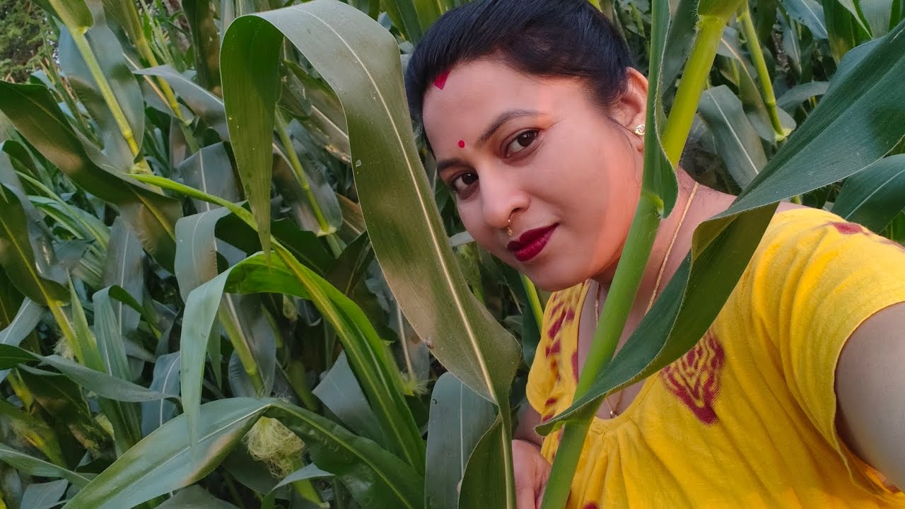 sarediner kj krmo r guru guru. - YouTube