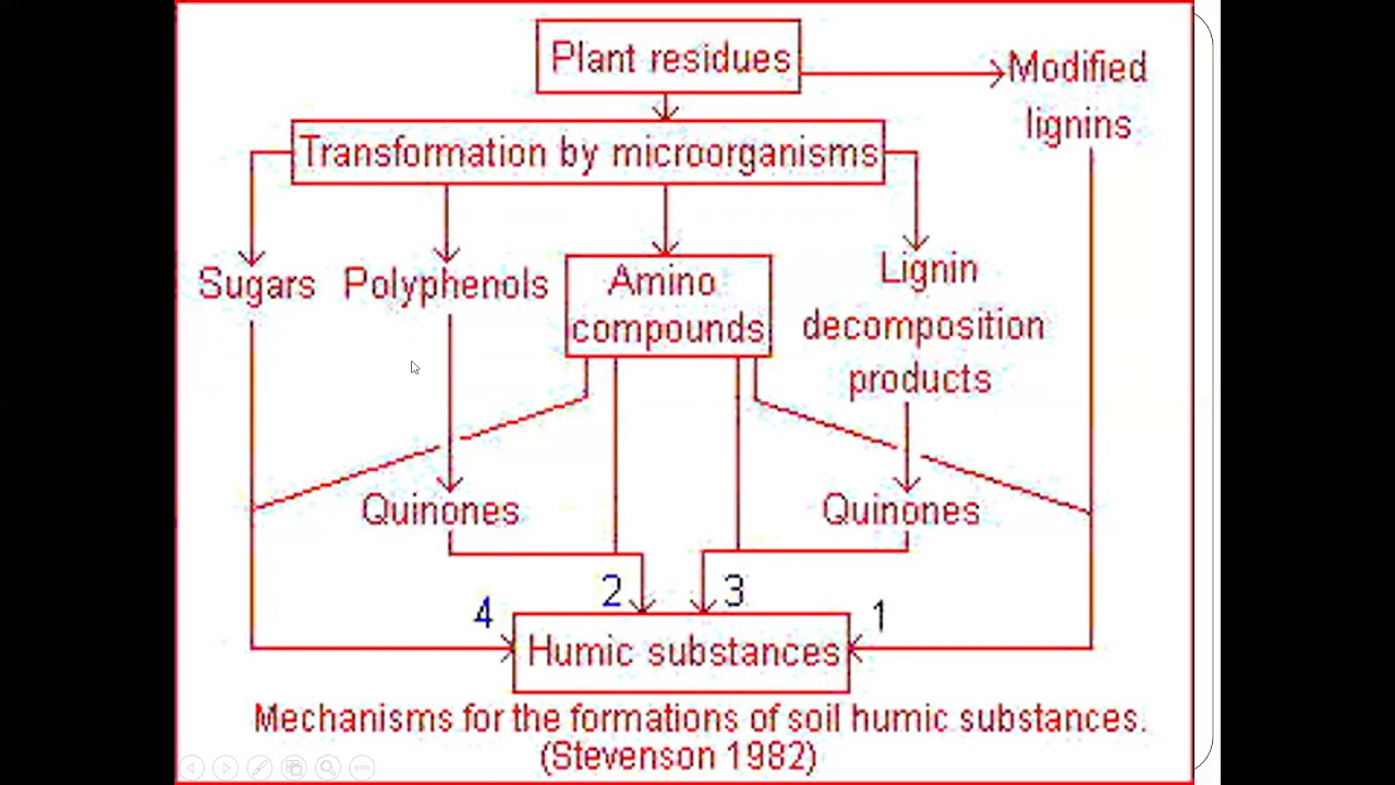 Soil Humus Formation 2_Environmental and Agriculture Microbiology ...