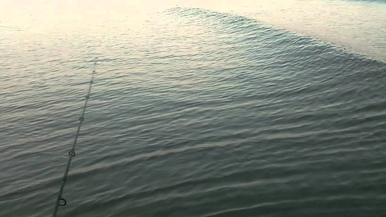 fish on sand eels in surf - YouTube