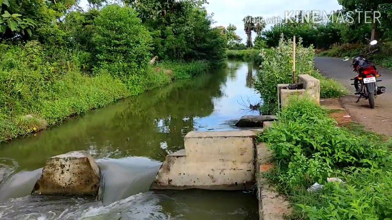 Cauvery Delta.Tamilnadu,India - YouTube