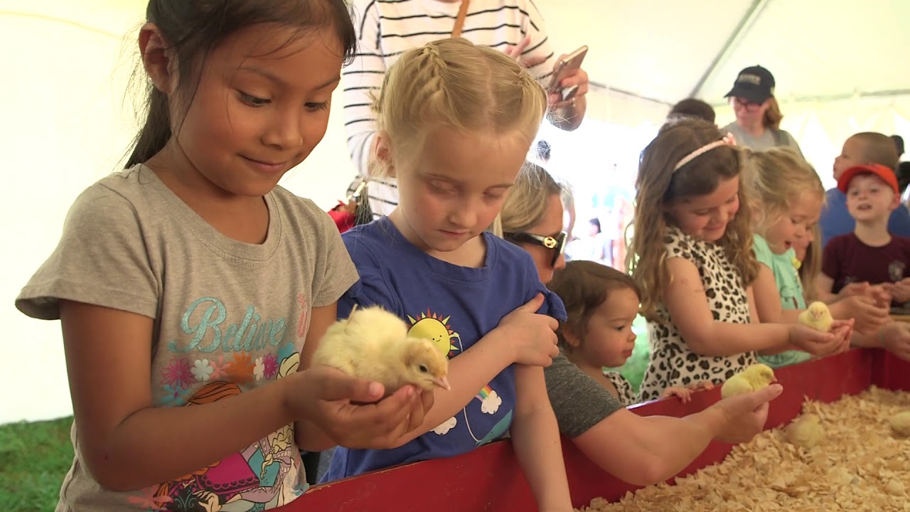 Homegrown | Why You Need to Wash Your Hands Around Animals - YouTube