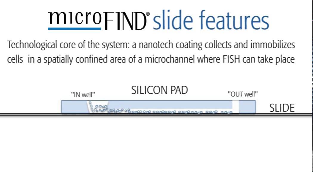 microFIND slide features - YouTube