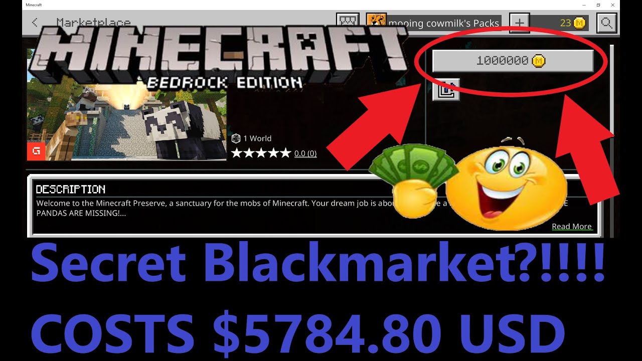 IT COSTS A MILLION Minecoin | Most Expensive | Minecraft's Marketplace ...