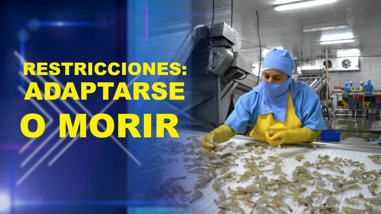 VASM - Restricciones: adaptarse o morir - YouTube