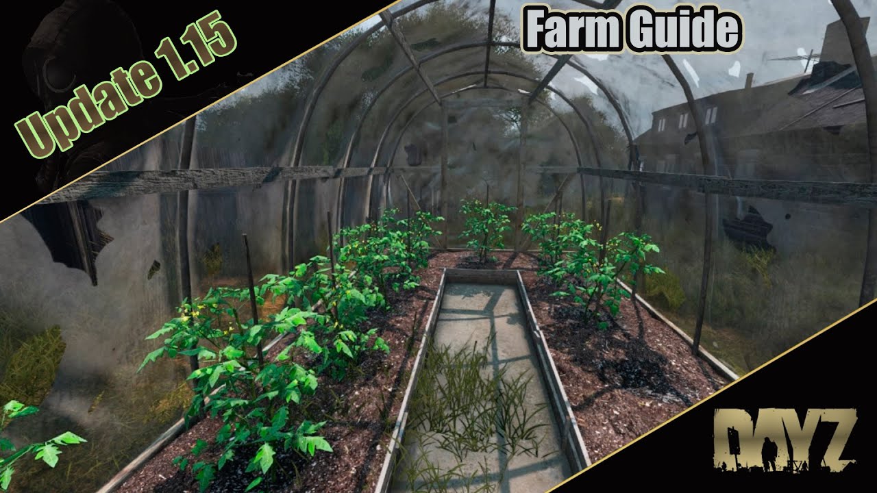 Dayz: Farm Guide (Pc,Xbox,Ps4,Ps5) - YouTube