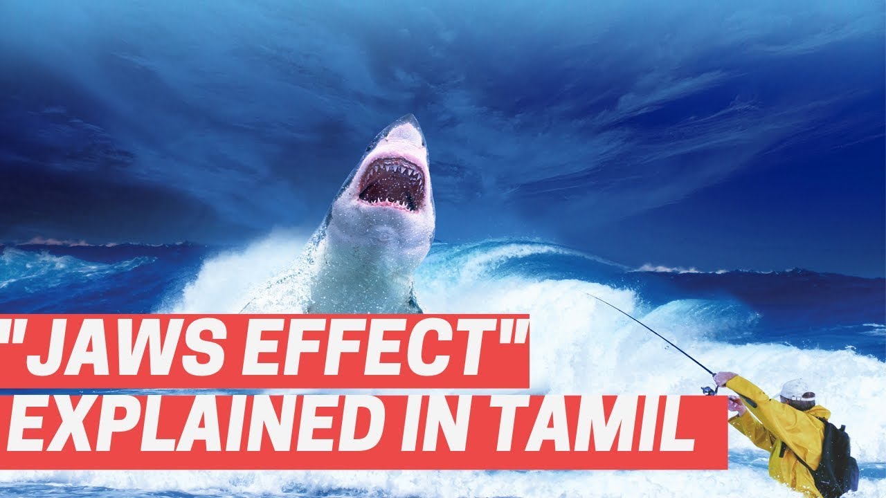 How the movie 'Jaws' impacted Sharks? - Jaws Effect Explained - YouTube