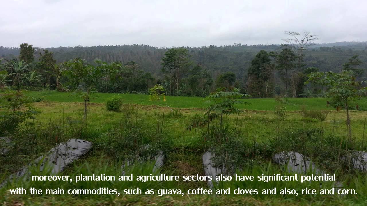 Video Profile of Great Sukorejo - YouTube