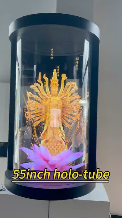 Avlink top China high quality 55inch 75inch holotube holographic display hologram best 3D ...